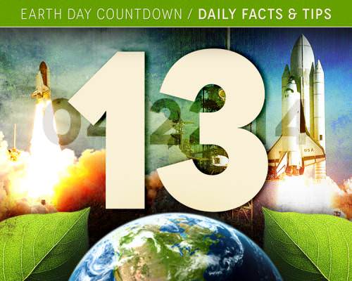 13 Days Until Earth Day - Green Group Studio