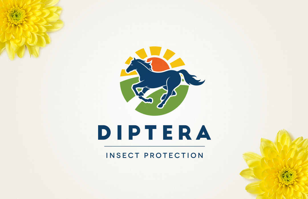 Diptera - Green Group Studio